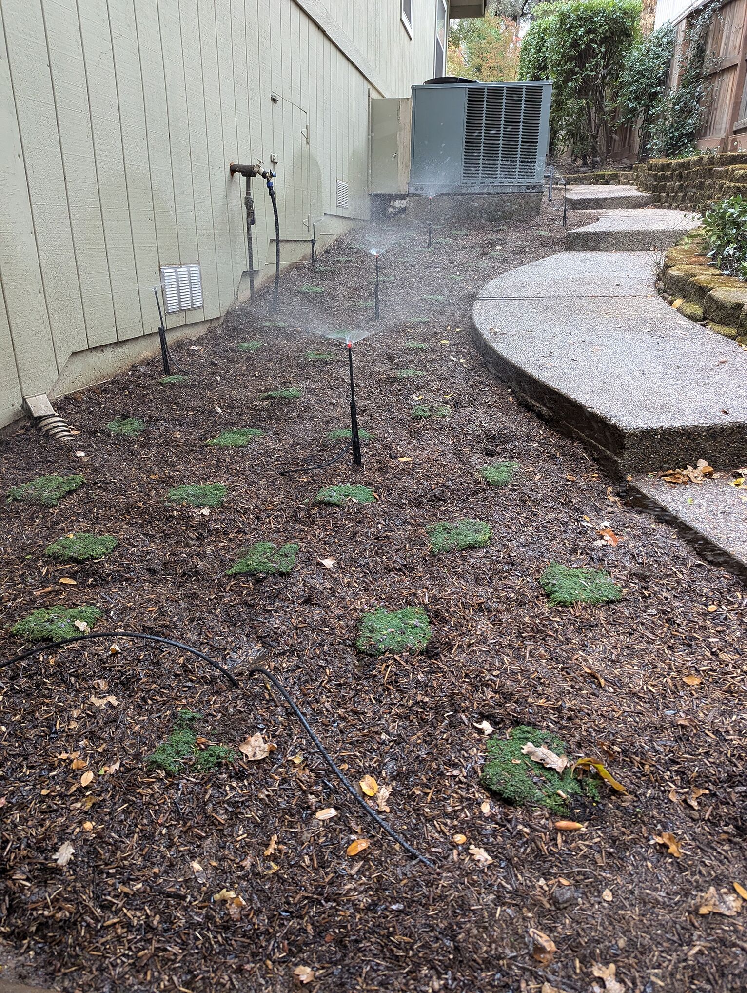 Drip irrigation services - Loose Dirt Landscaping